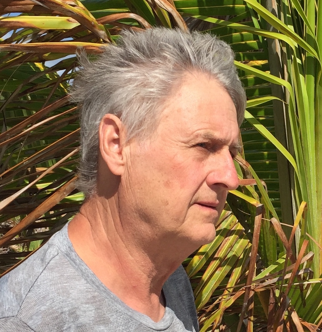 Amazon.com: Rainer Link: books, biography, latest update