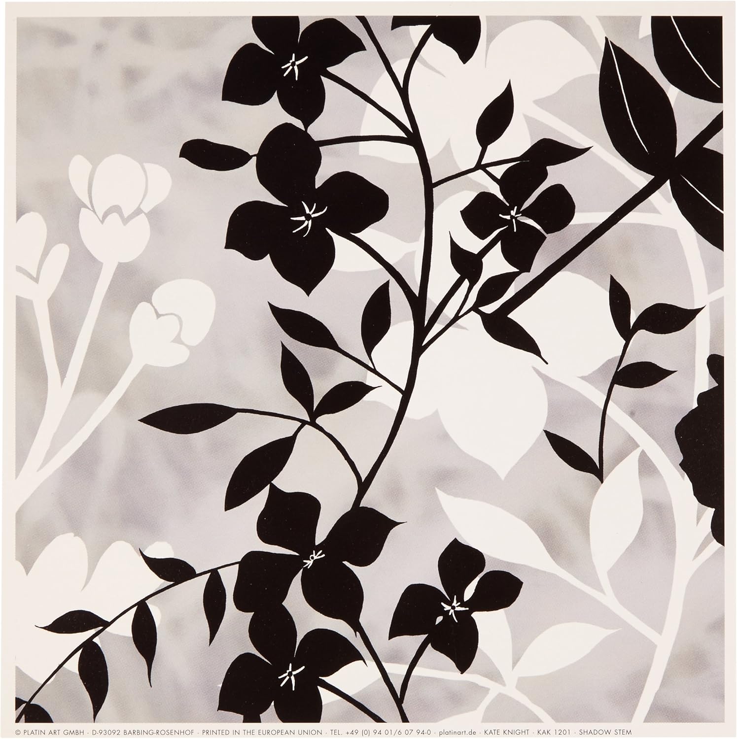 Eurographics KAK1201 Art Print 18 x 18 cm Shadow Stem by Kate Knight ...