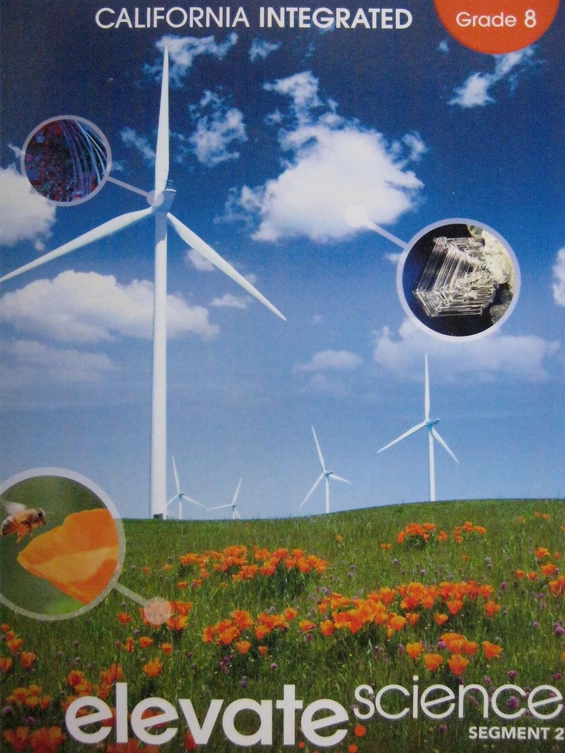 ELEVATE SCIENCE SEGMENT 2 GRADE 8: Pearson: 9781418310431: Amazon.com ...