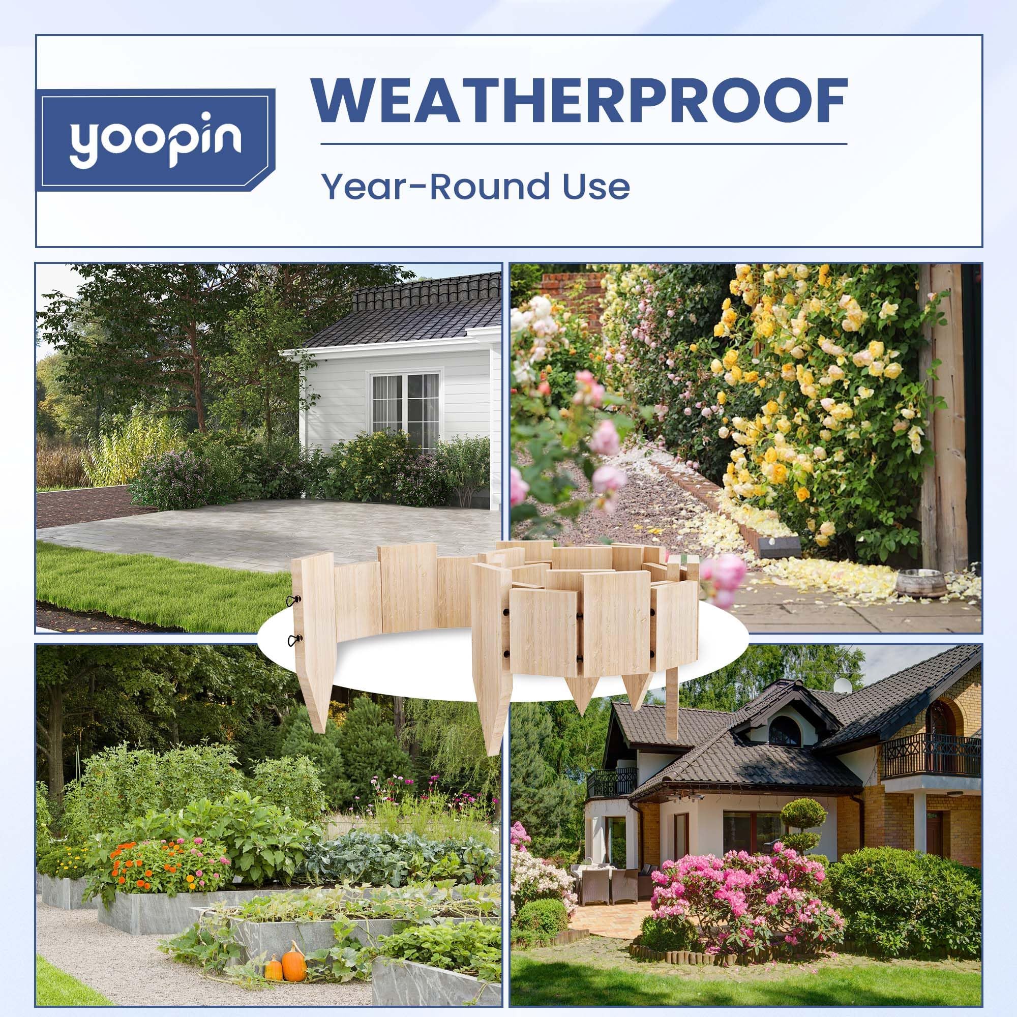 Bordes De Paisaje Rústico Calle De Arena Sin Mar. Composición: