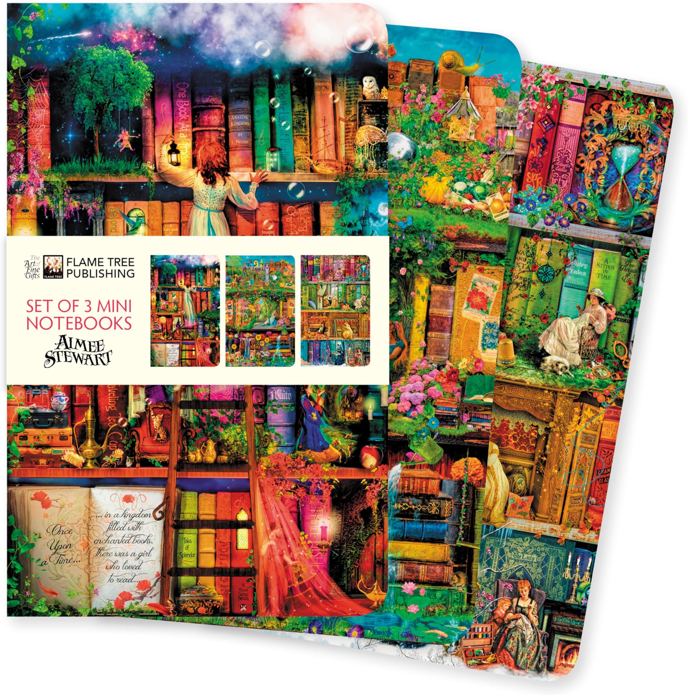 Aimee Stewart Set of 3 Mini Notebooks (Mini Notebook Collections ...