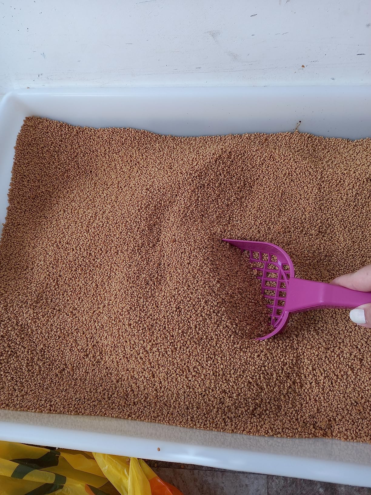 Racoes V.B Granulado Sanitario Finotrato Bio-Litter 10 Kg | Amazon.com.br