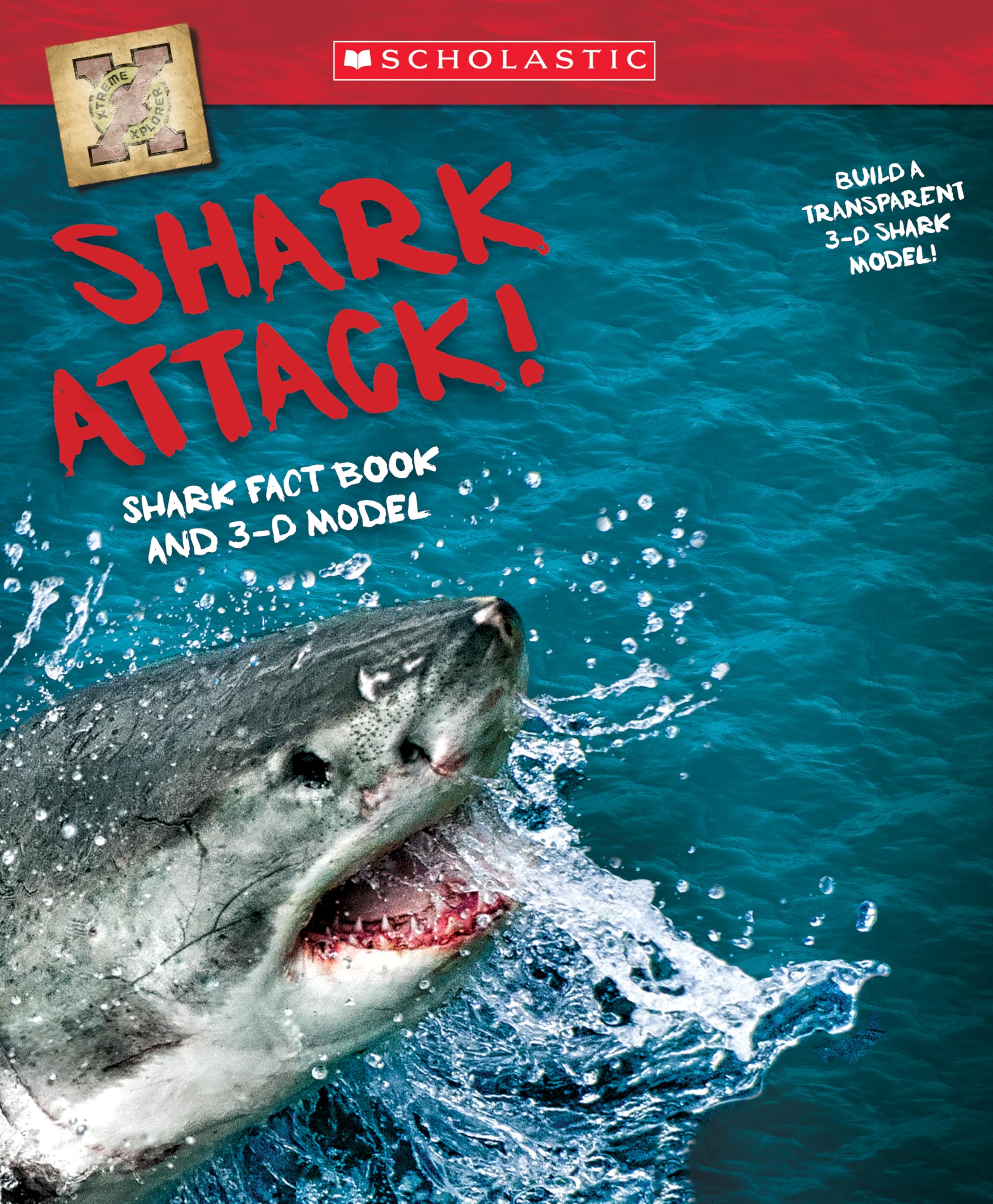 Shark Attack!: Scholastic: 9781338323016: Amazon.com: Books