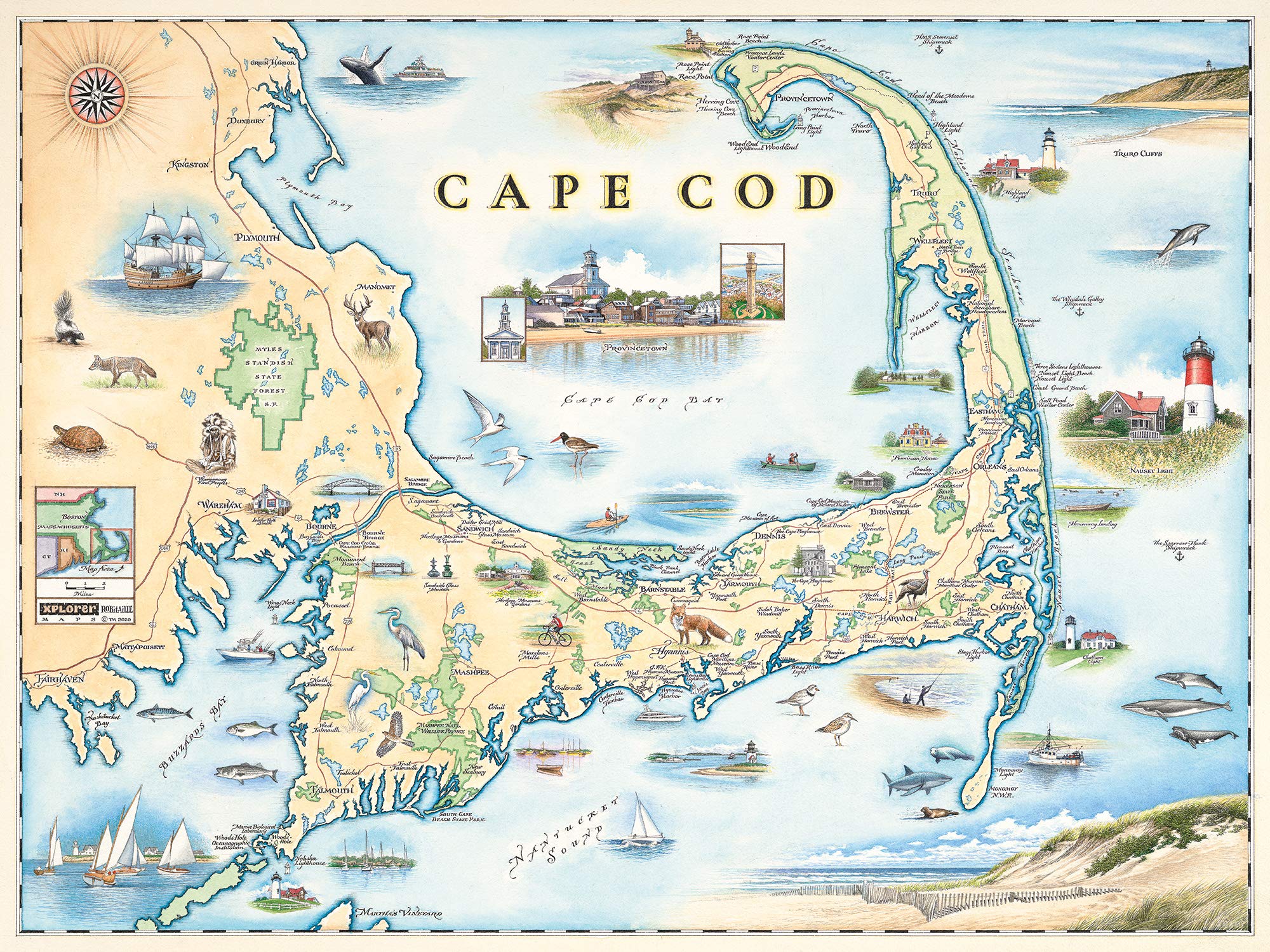 Buy Cape Cod - Hand Drawn of Cape Cod - Xplorer s Online at ...