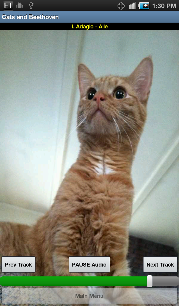 Classical Music - Cats and Beethoven - App on Amazon Appstore