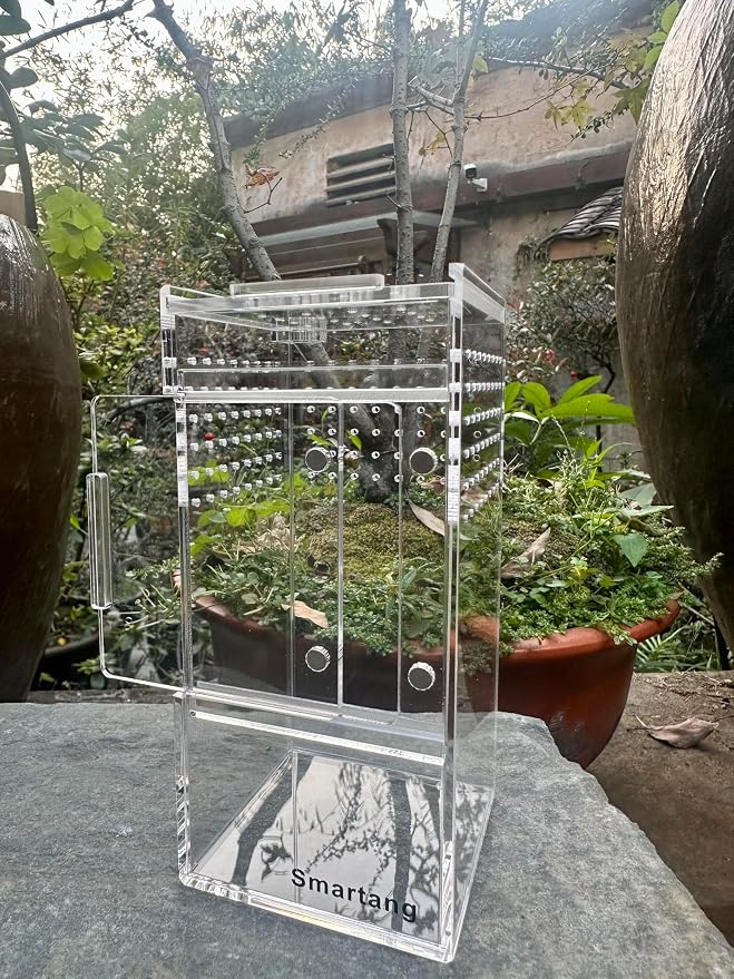 Jumping Spider Enclosure,Arboreal Tarantula Enclosure,Spider Habitat ...