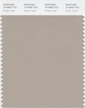 PANTONE SMART 16-0906X Color Swatch Card, Simply Taupe - House Paint ...