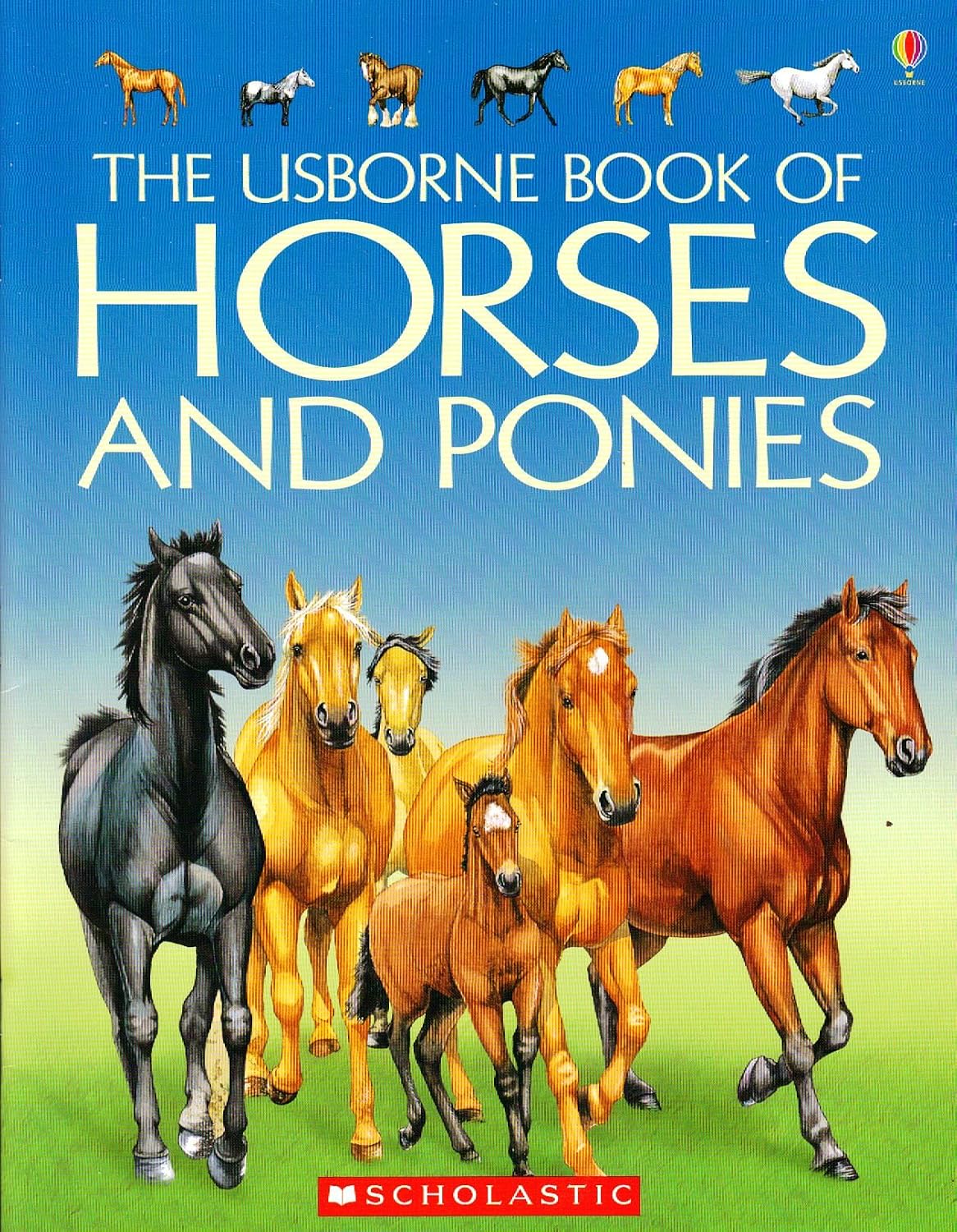 The Usborne Book of Horses and Ponies: Lucy Smith: 9780439889834 ...