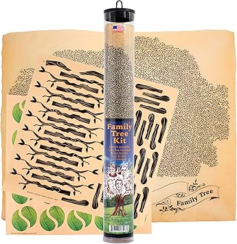 Channel Craft Family Tree Kit : Amazon.co.uk: Home & Kitchen
