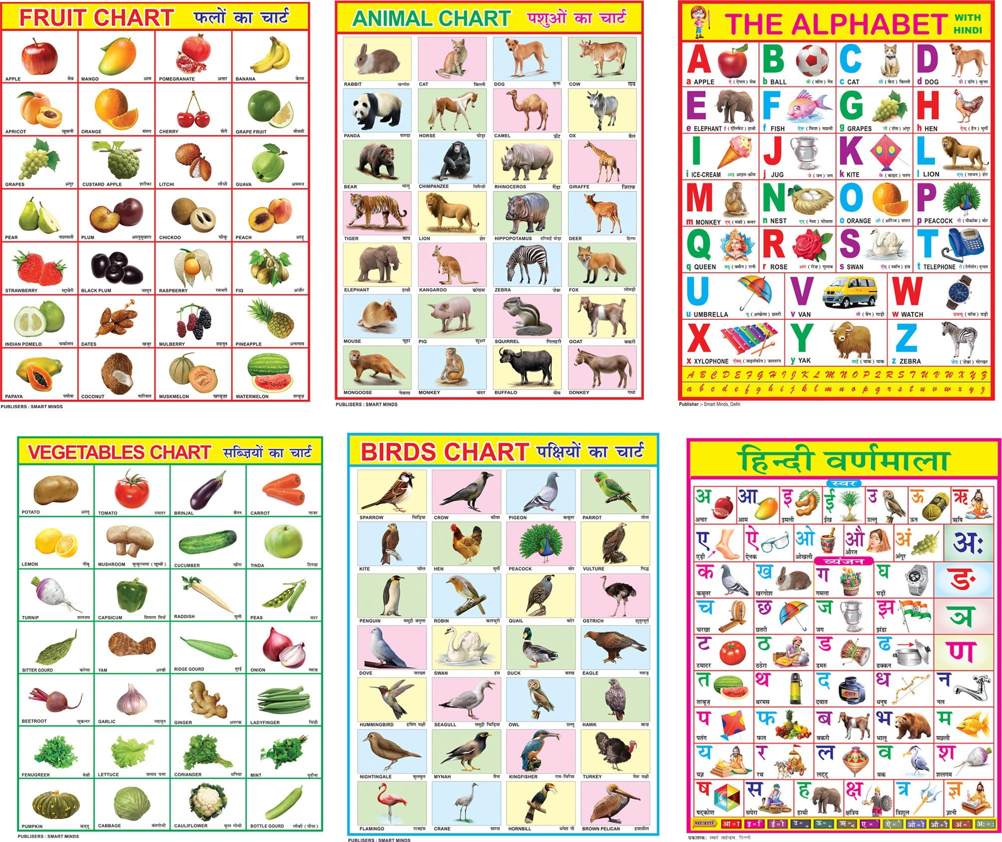 Eoi Marketing Combo Of 6 Chart Fruits Vegetables Animals Birds ...