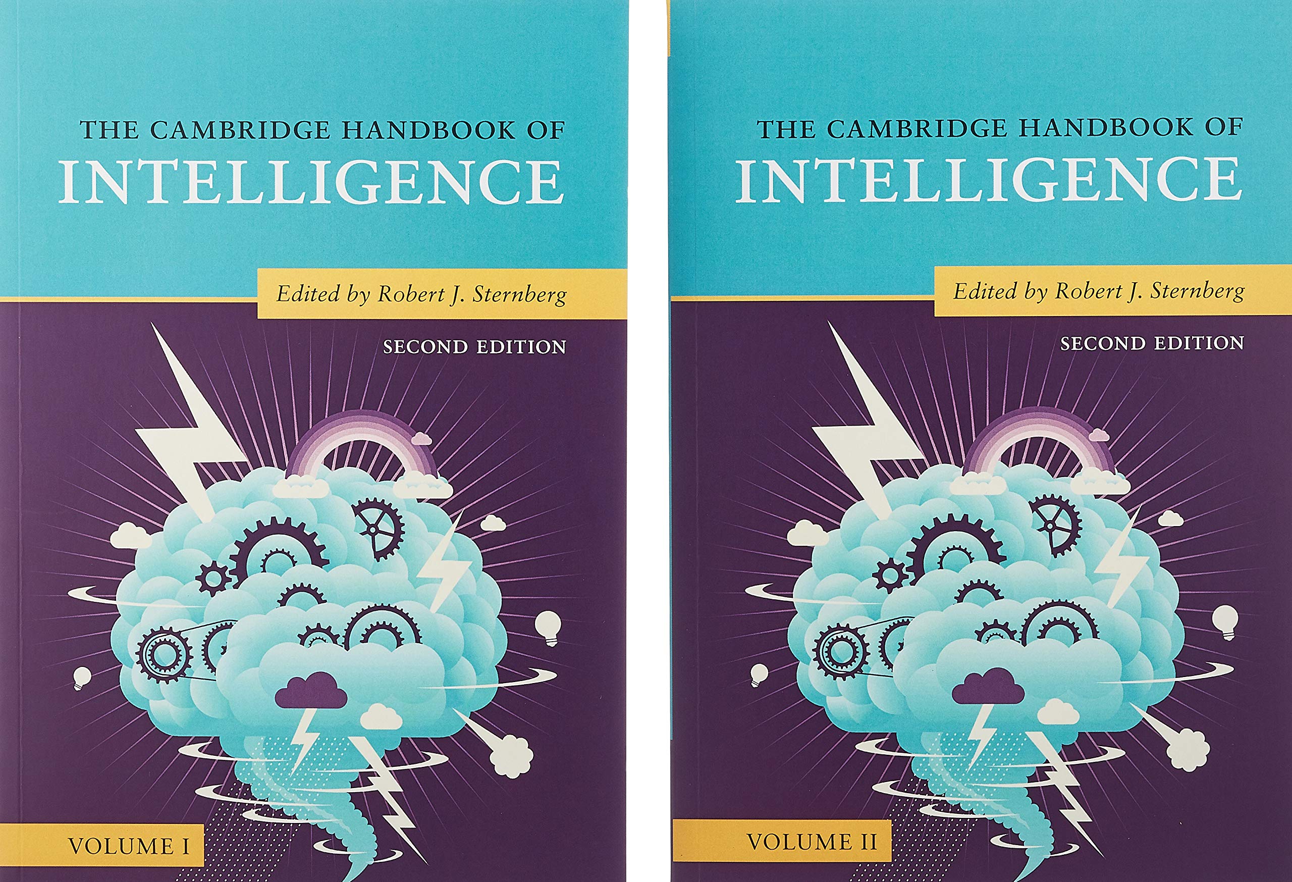 Amazon.com: The Cambridge Handbook of Intelligence (Cambridge Handbooks in Psychology ...