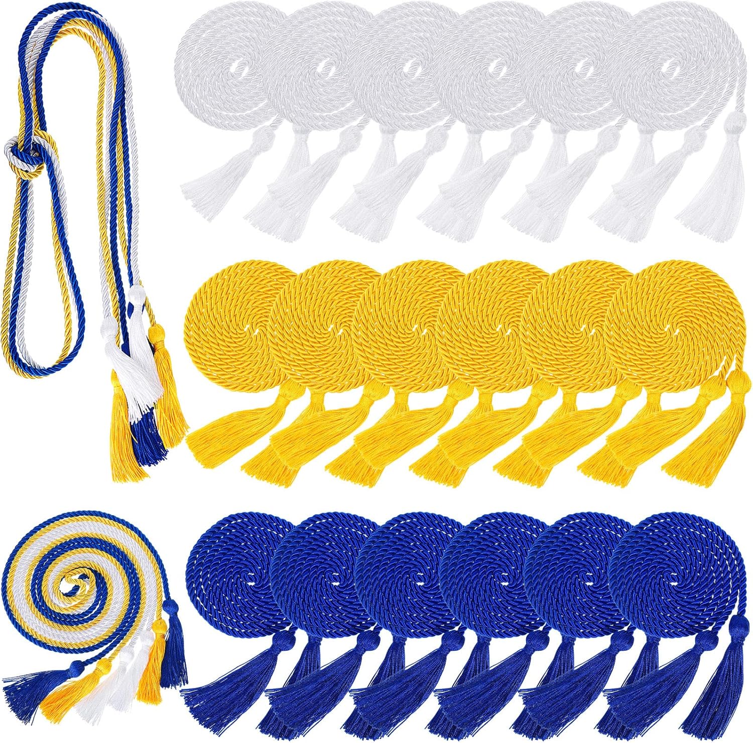 Amazon.com: 18 Pcs 67 Inches Graduation Honor Cord with Tassel Gold ...