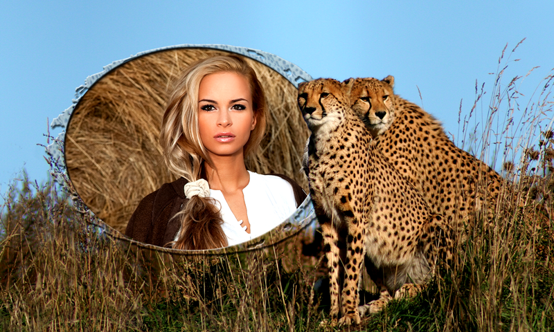 Animal Photo Frames:Amazon.com:Appstore for Android