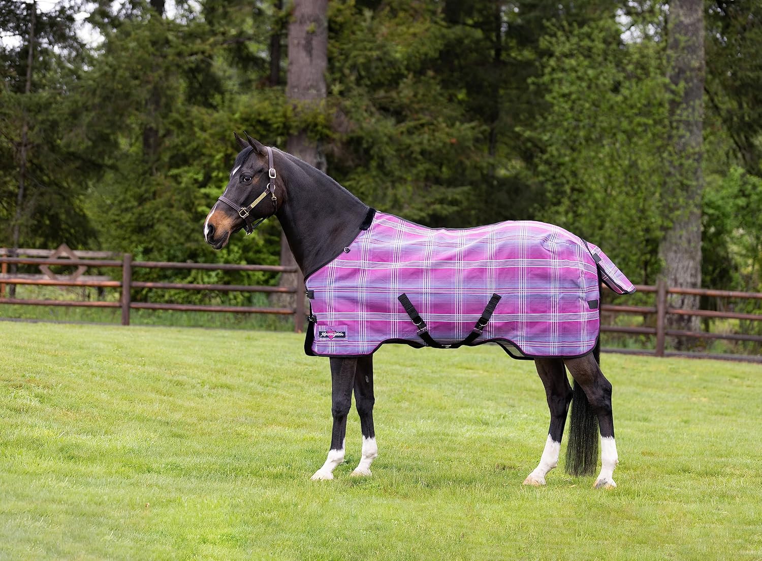 Amazon.com: Kensington 73% UV Draft Protective Fly Sheet 96 Pu : Pet ...