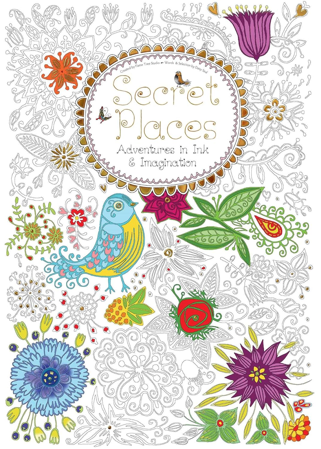Secret Places (Colouring Book): Adventures in Ink and Imagination ...