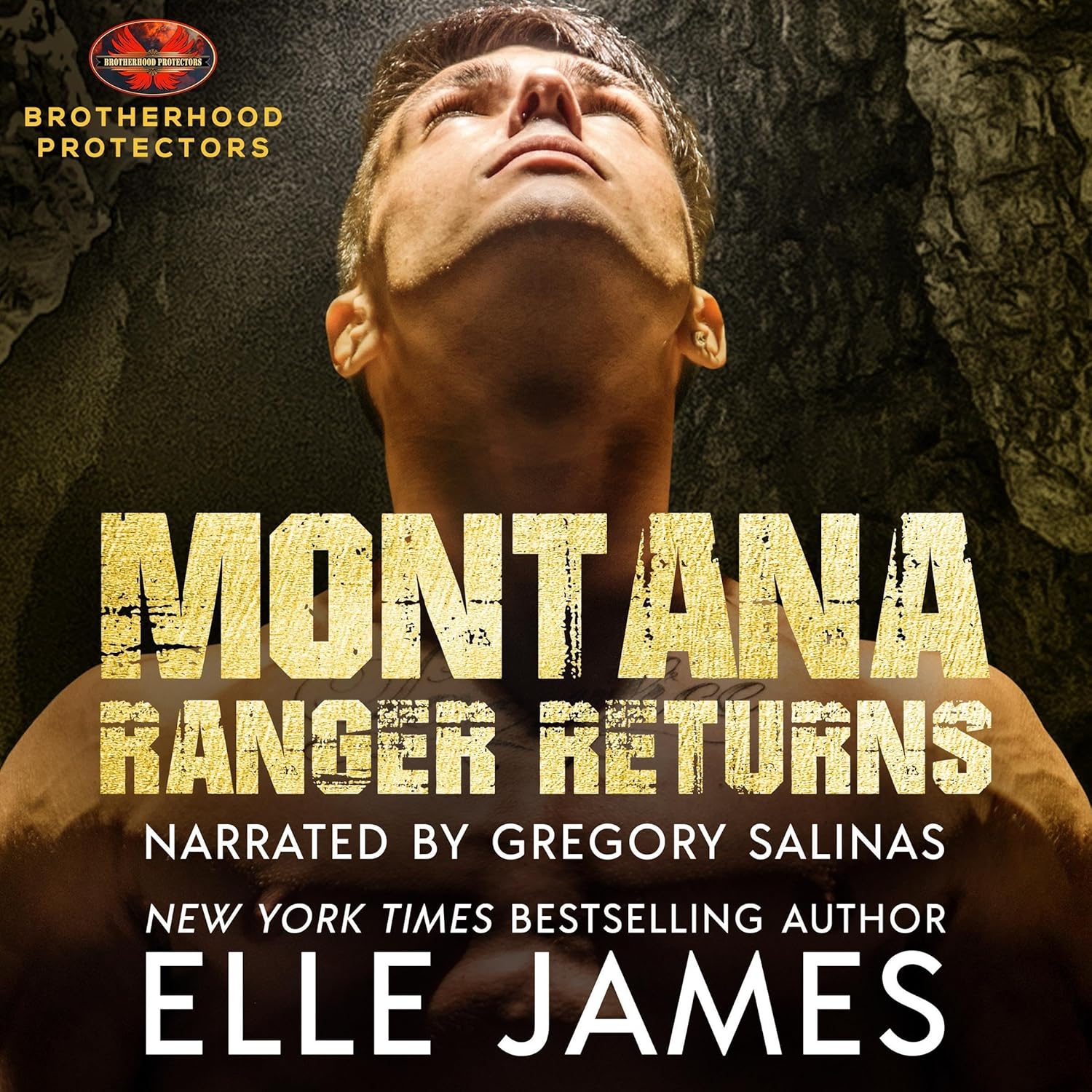 Amazon.com: Montana Ranger Returns: Brotherhood Protectors, Book 18 ...