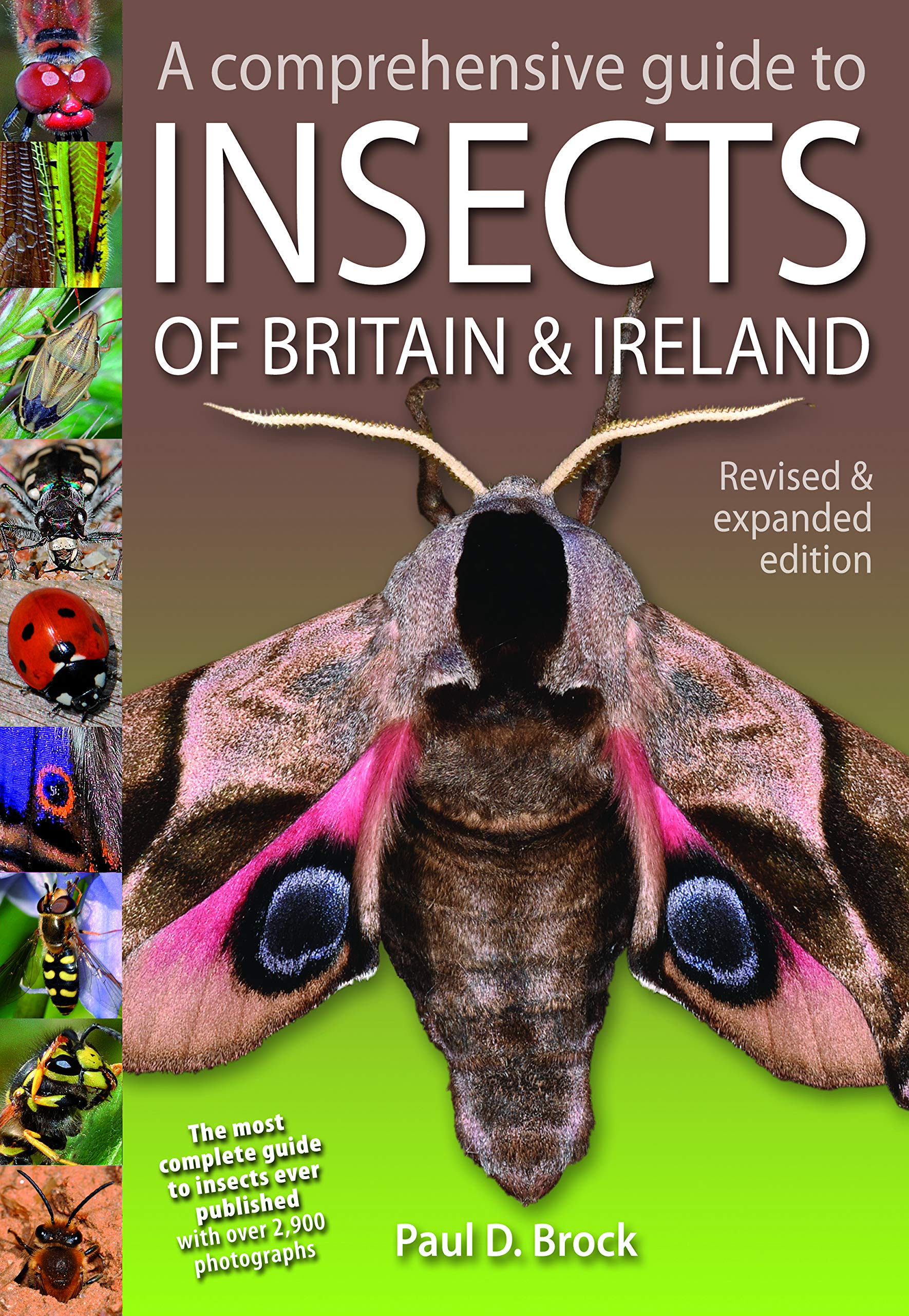 A Comprehensive Guide to Insects of Britain and Ireland: Amazon.co.uk ...