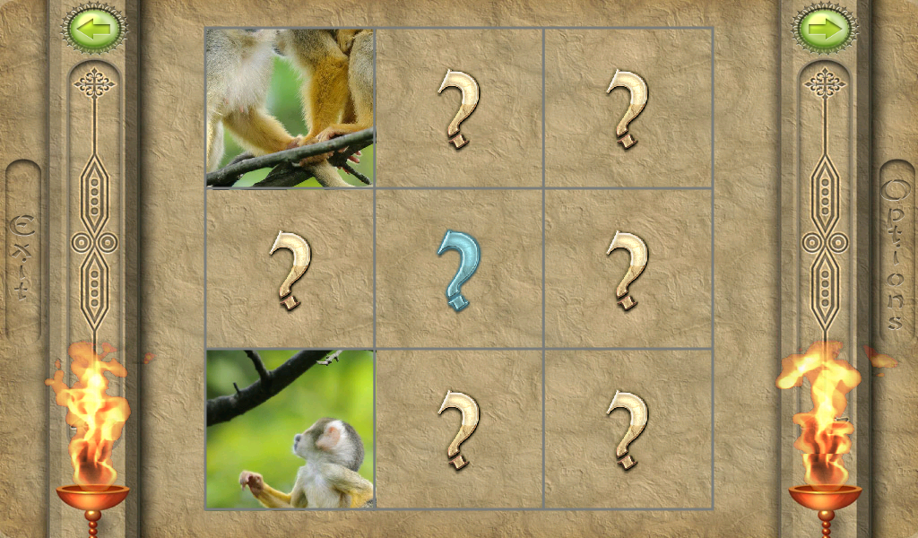 FlipPix Jigsaw - Sibs - App on Amazon Appstore