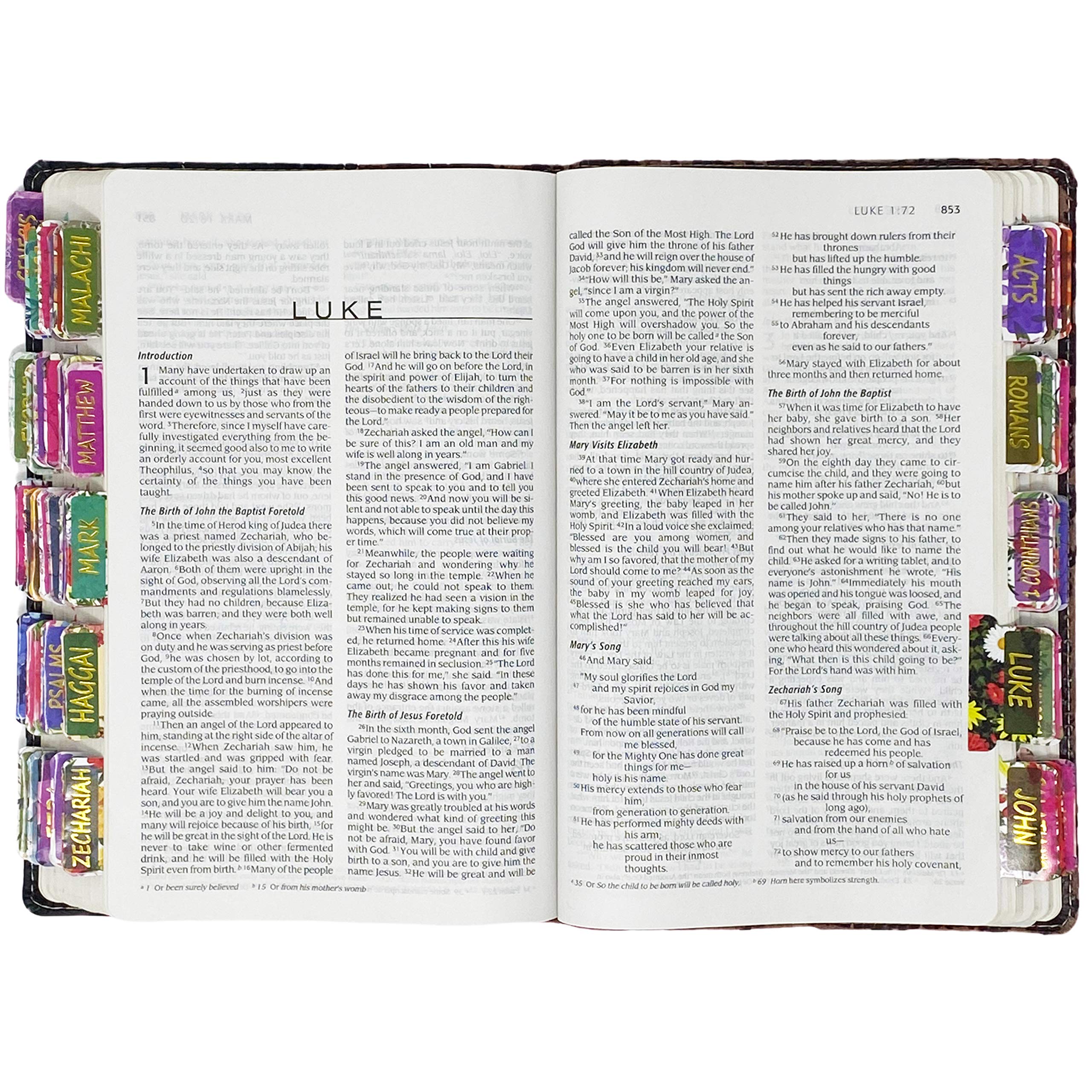 Mr. Pen- Bible Tabs, 75 Tabs, Laminated, Bible Journaling Supplies ...