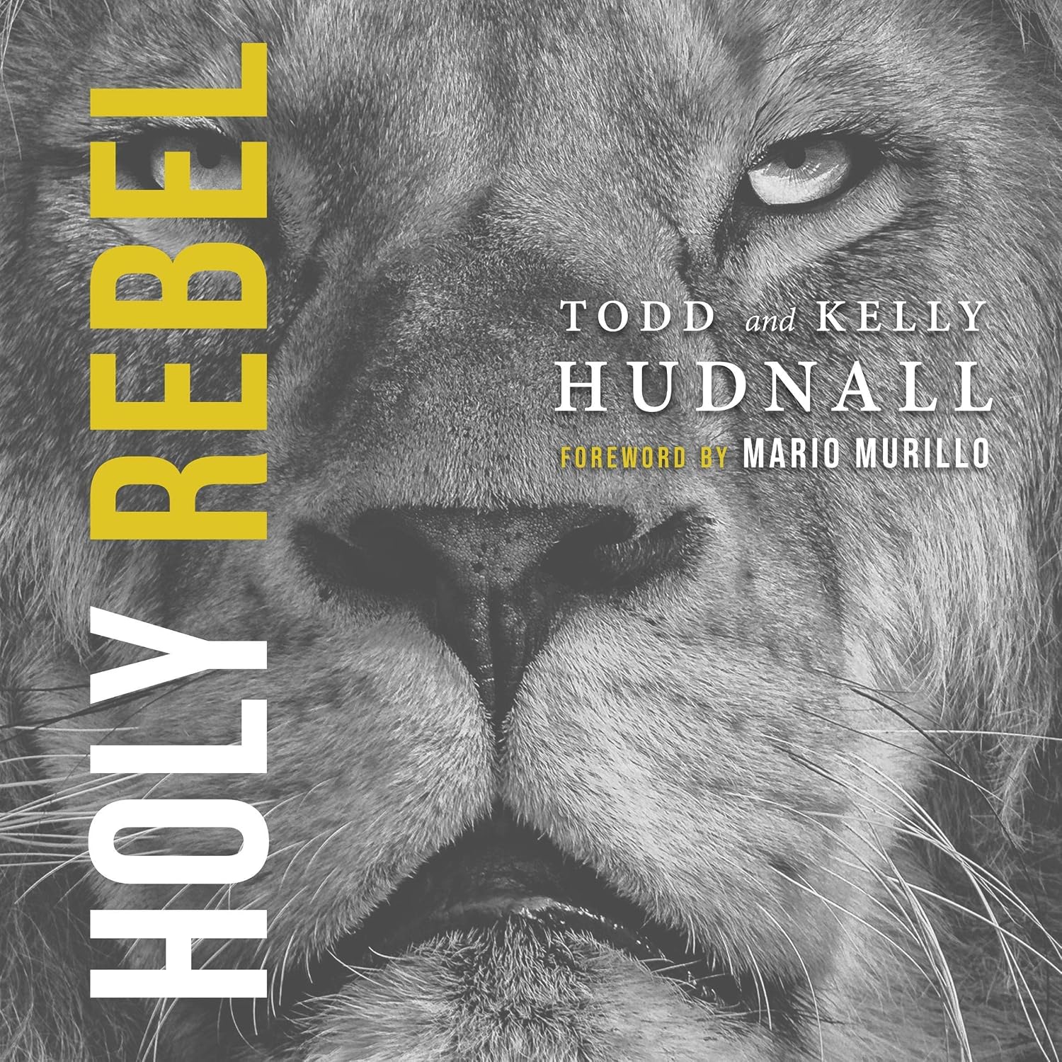 Amazon.com: Holy Rebel: Armed with Truth, Stand Your Ground, and Rebel ...