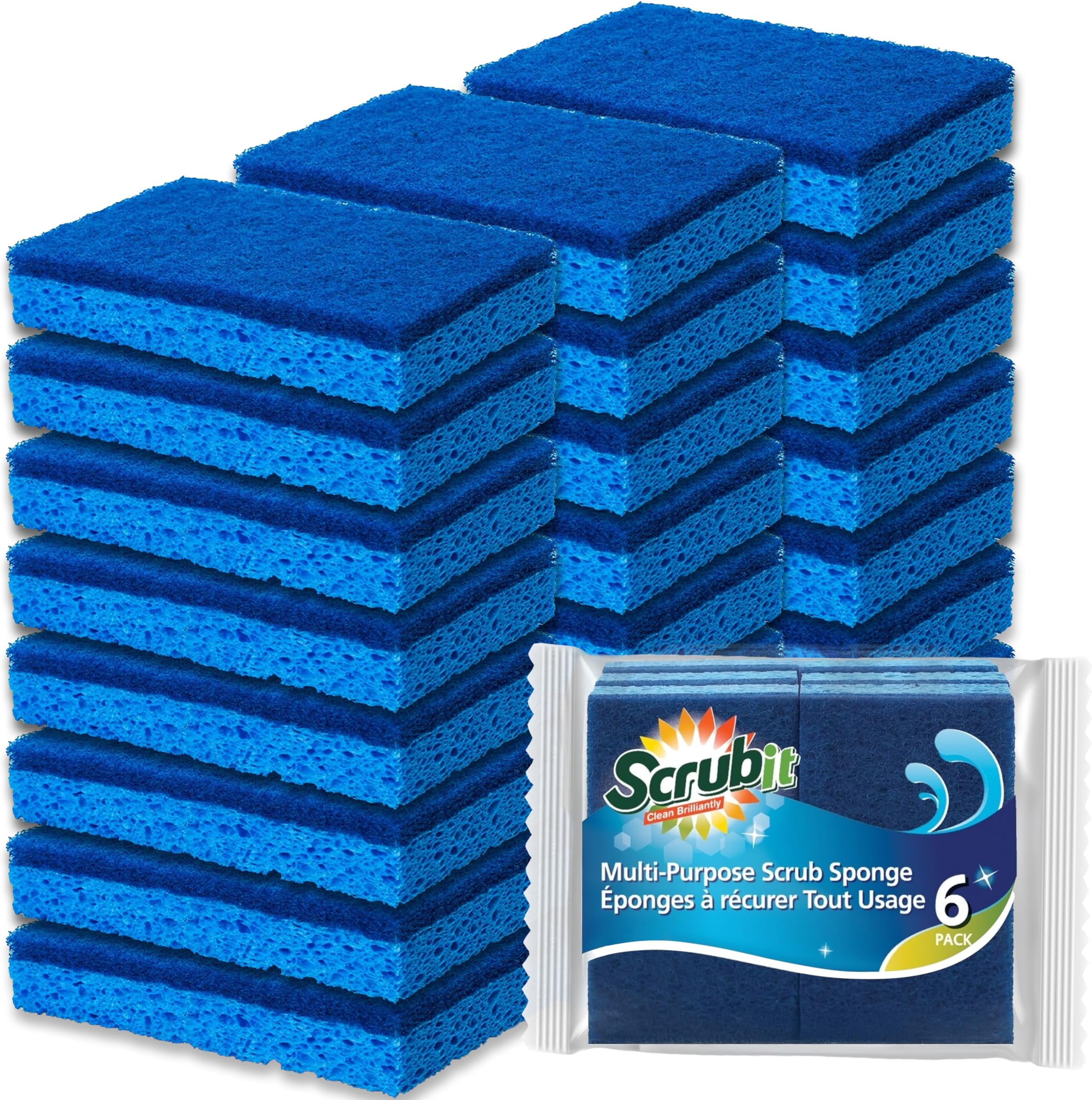 Amazon.com: Heavy Duty Scrub Sponges Pack of 24 Non-Scrub Sponge Dish ...