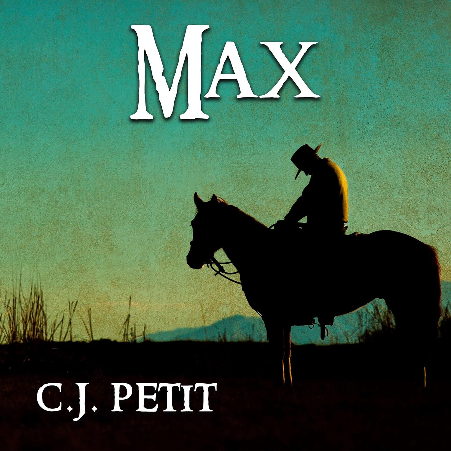 Amazon.com: Max (Audible Audio Edition): C.J. Petit, Michael Alan White ...