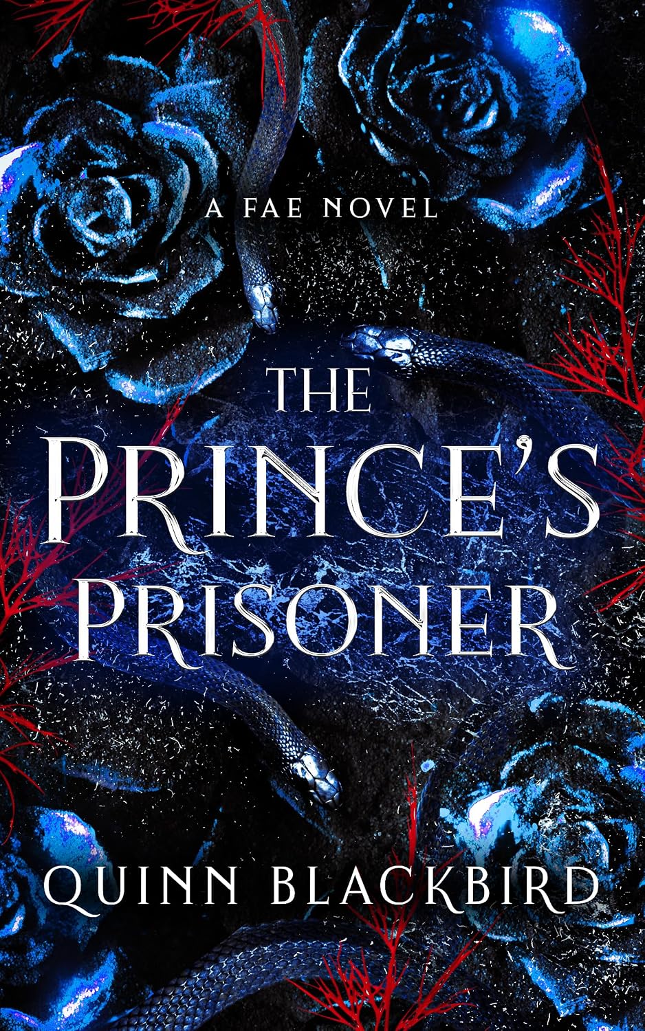 Amazon.com: The Prince's Prisoner: A Fae Novel eBook : BLACKBIRD, Quinn ...