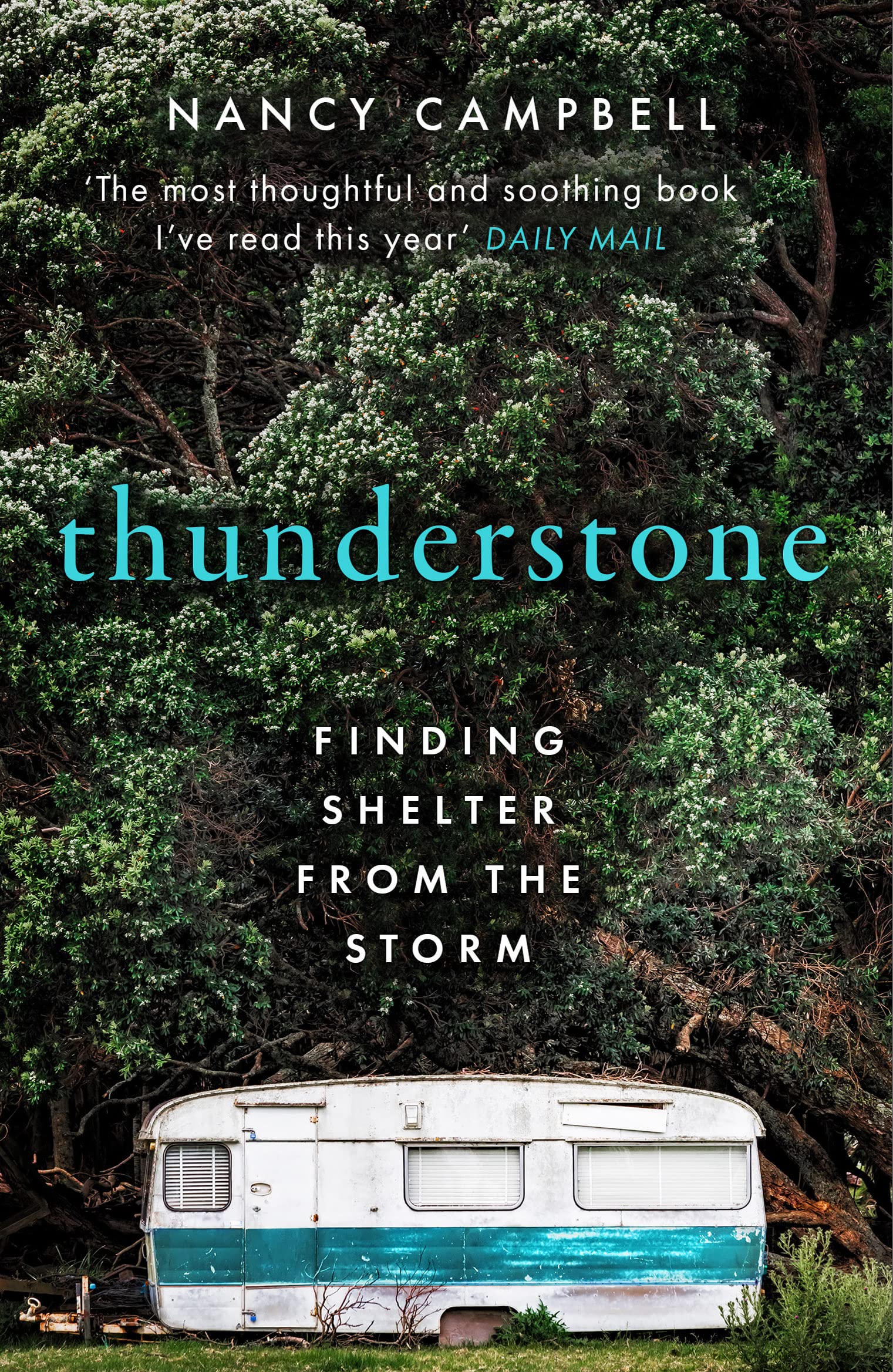 Thunderstone: Finding Shelter from the Storm: Amazon.co.uk: Nancy ...