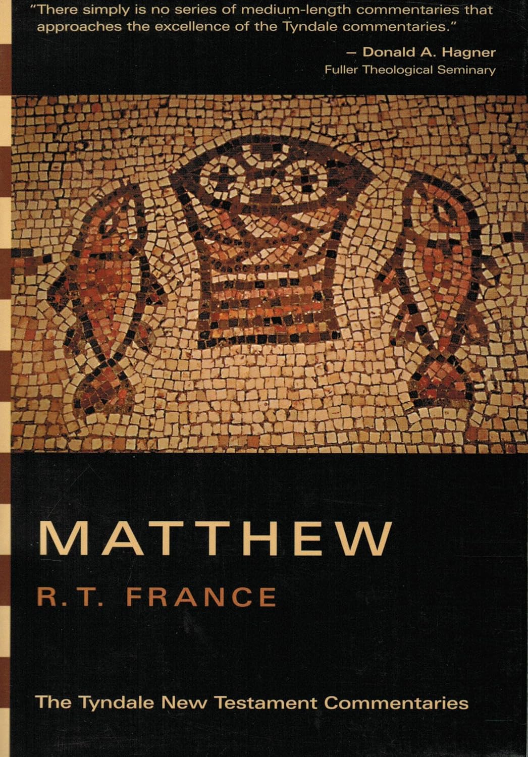 The Gospel According to Matthew: An Introduction and Commentary ...