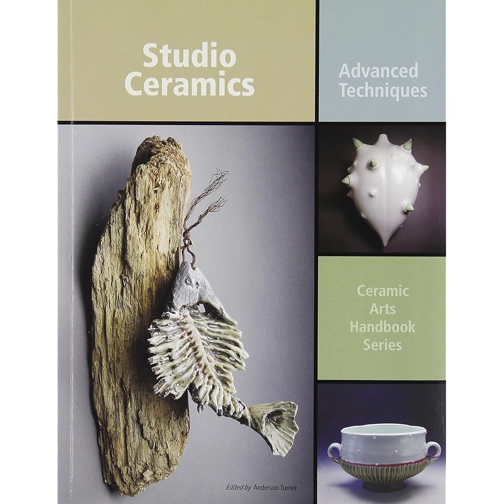7 Mo Finance Studio Ceramics Advanced Techniques Ceramic Arts