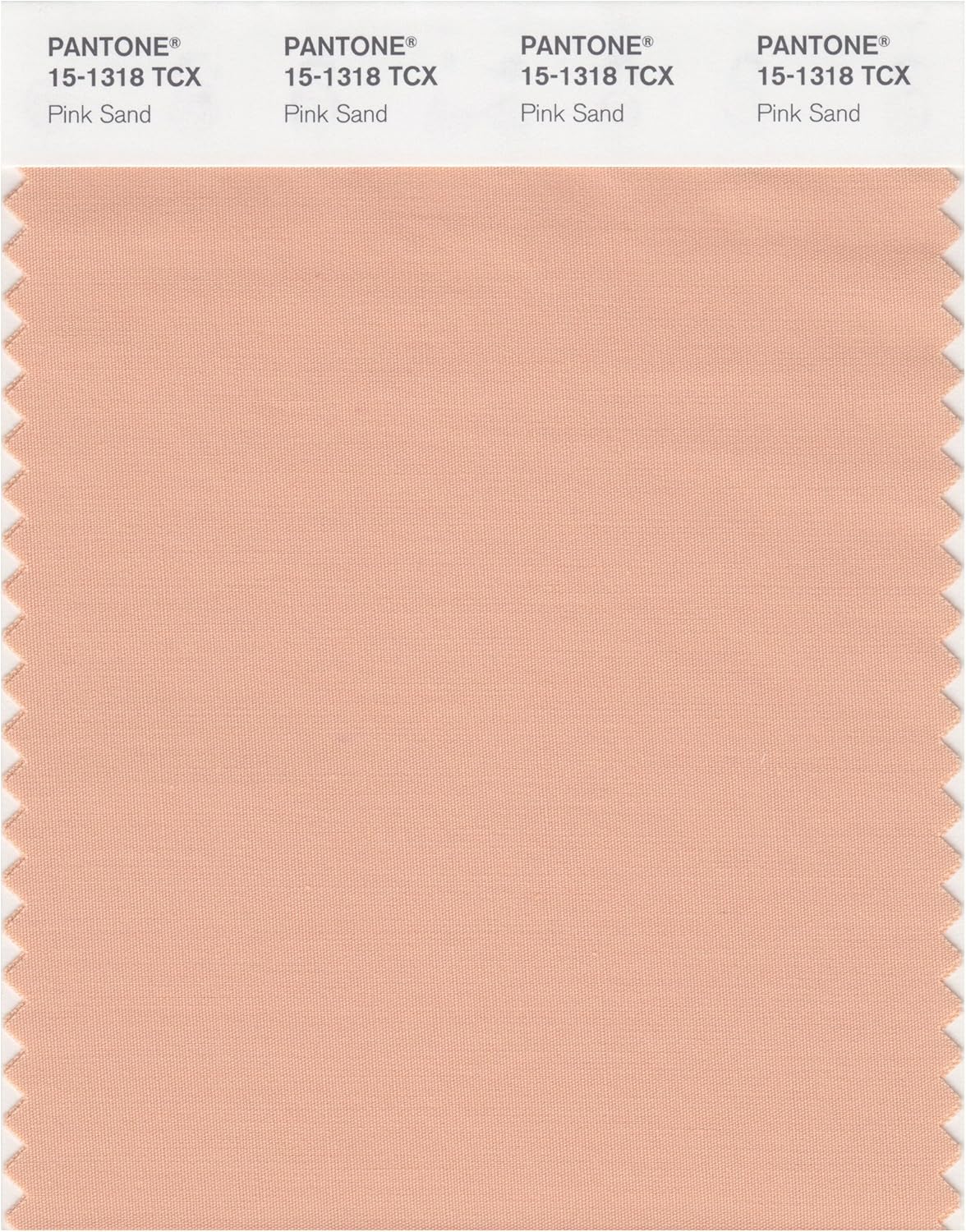 PANTONE Cartão de amostra de cores SMART 15-1318X, areia rosa : Amazon ...