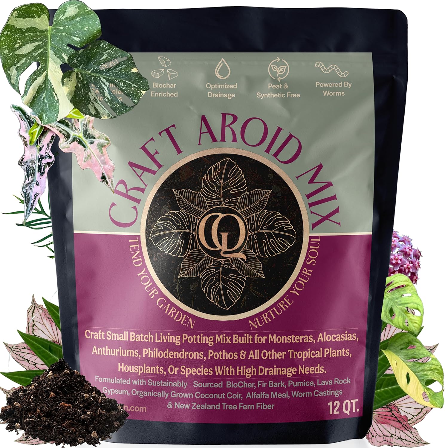Amazon.com : Grow Queen Craft Aroid Potting Mix- Elite Alocasia ...