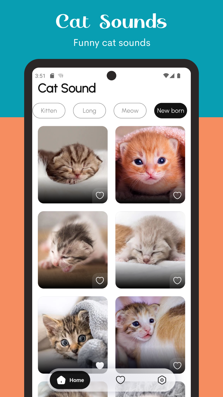 Meow Sound Cat Sounds: What Miaowing, Purring And Hissing Really Mean