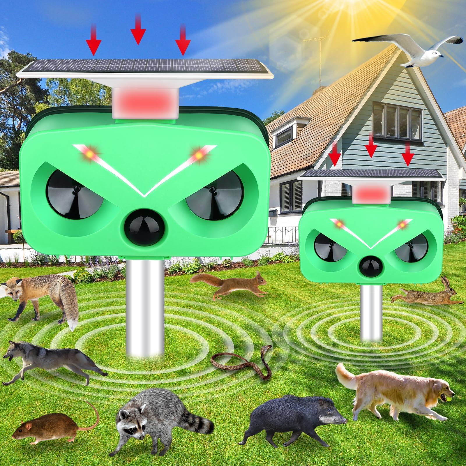 Amazon.com: seapoem Animal Repeller Outdoor Solar Powered with Motion ...