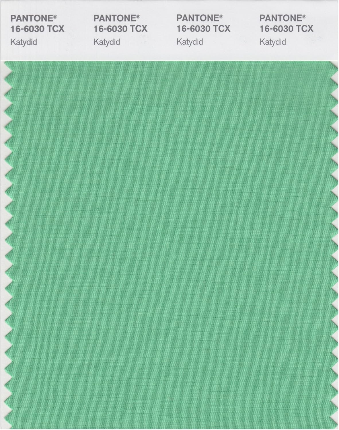 PANTONE Smart 16-6030X Color Swatch Card, Katydid - House Paint ...