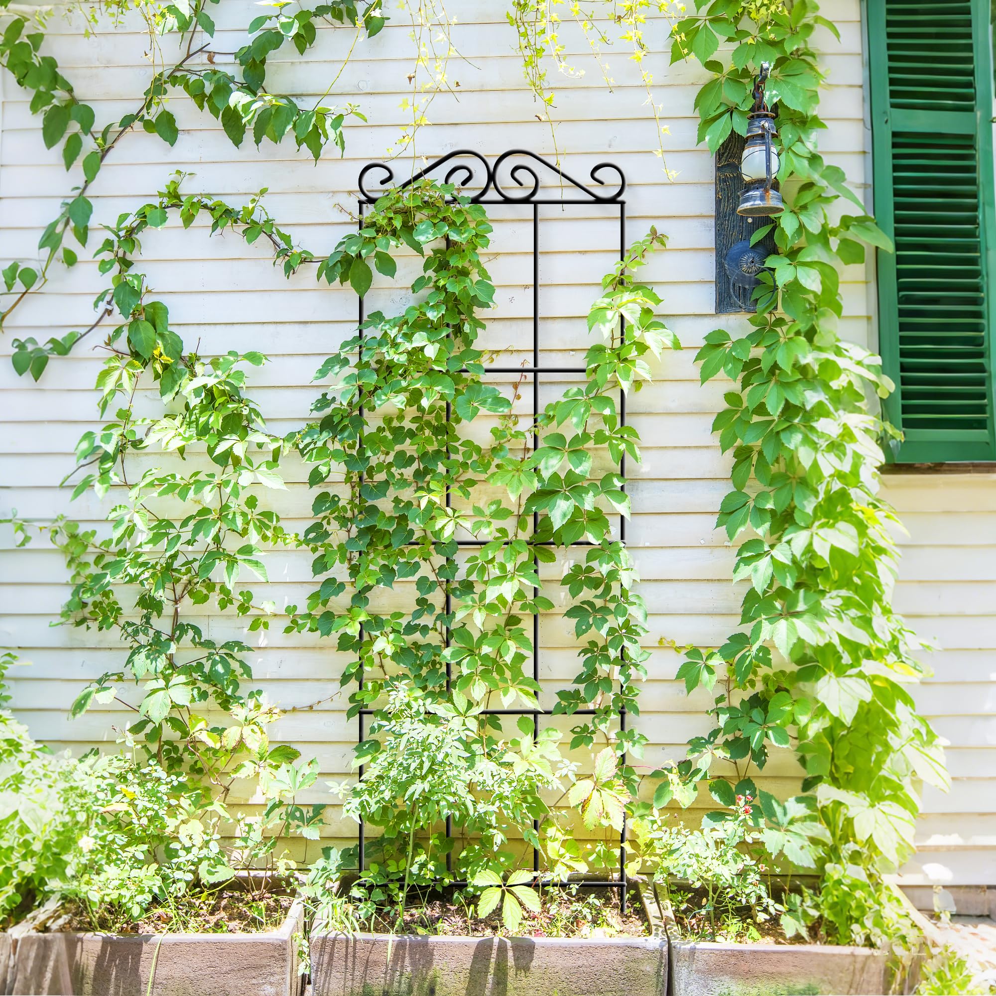 Snapklik.com : ARIFARO 47 Metal Garden Trellis For Climbing Plants