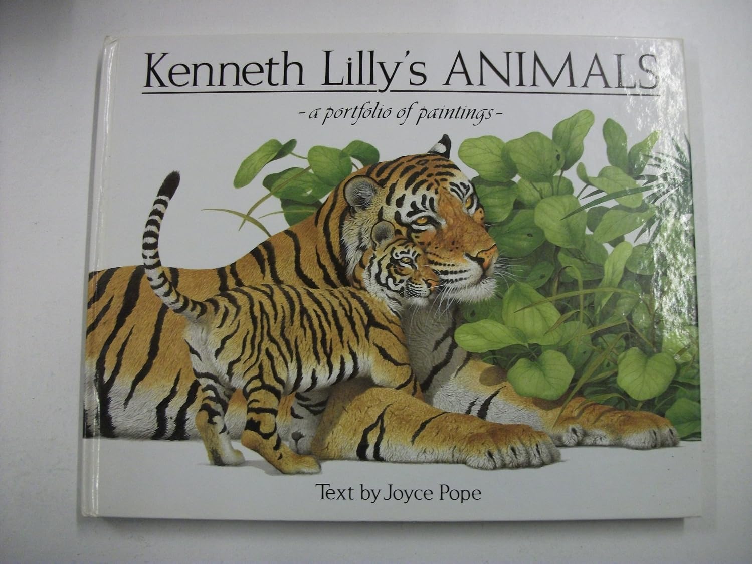 Kenneth Lilly's Animals: Joyce Pope~Kenneth Lilly: 9780744506044 ...