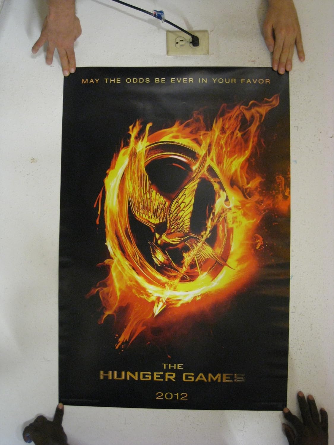 Amazon.com: The Hunger Games Poster May The Odds Be ever In Your Favor ...