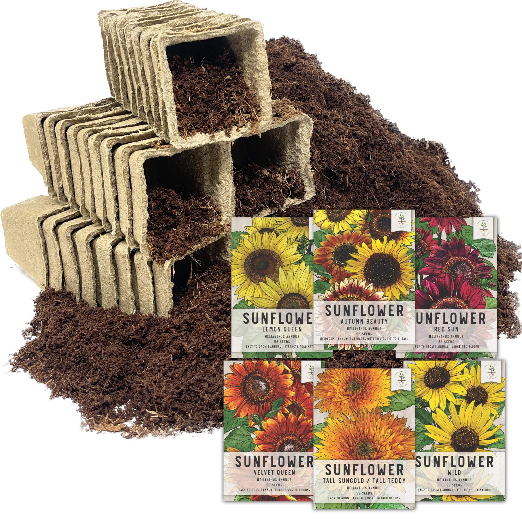 Amazon.com : Seed Needs, Sunflower Seed Packet Collection Seed Starting ...