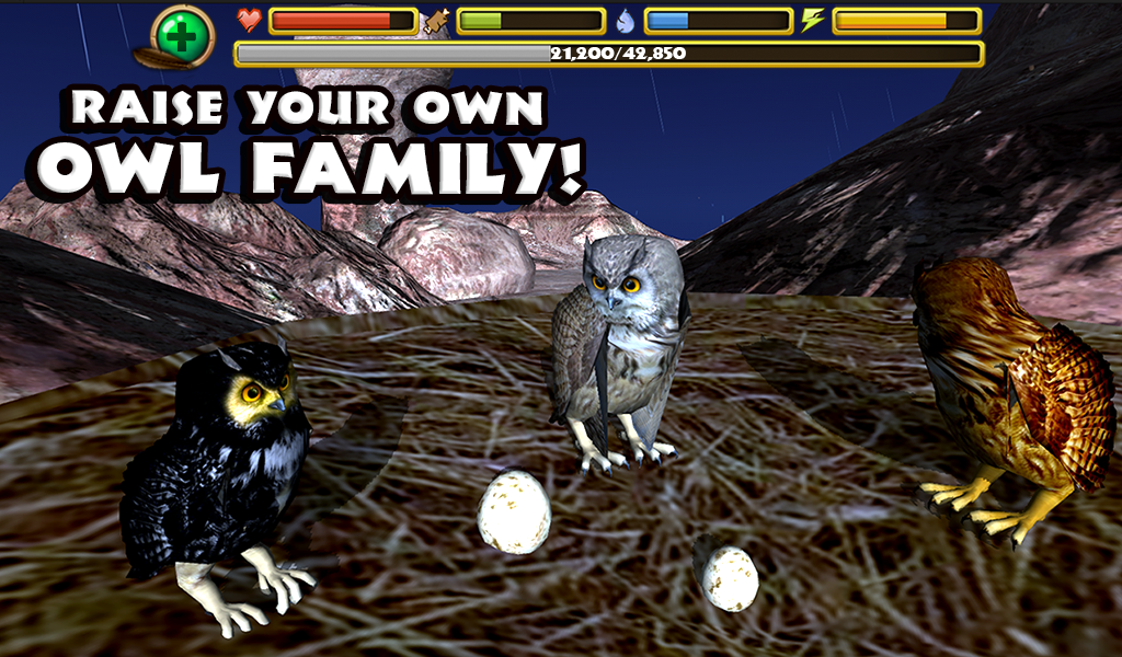 Owl Simulator - App on Amazon Appstore