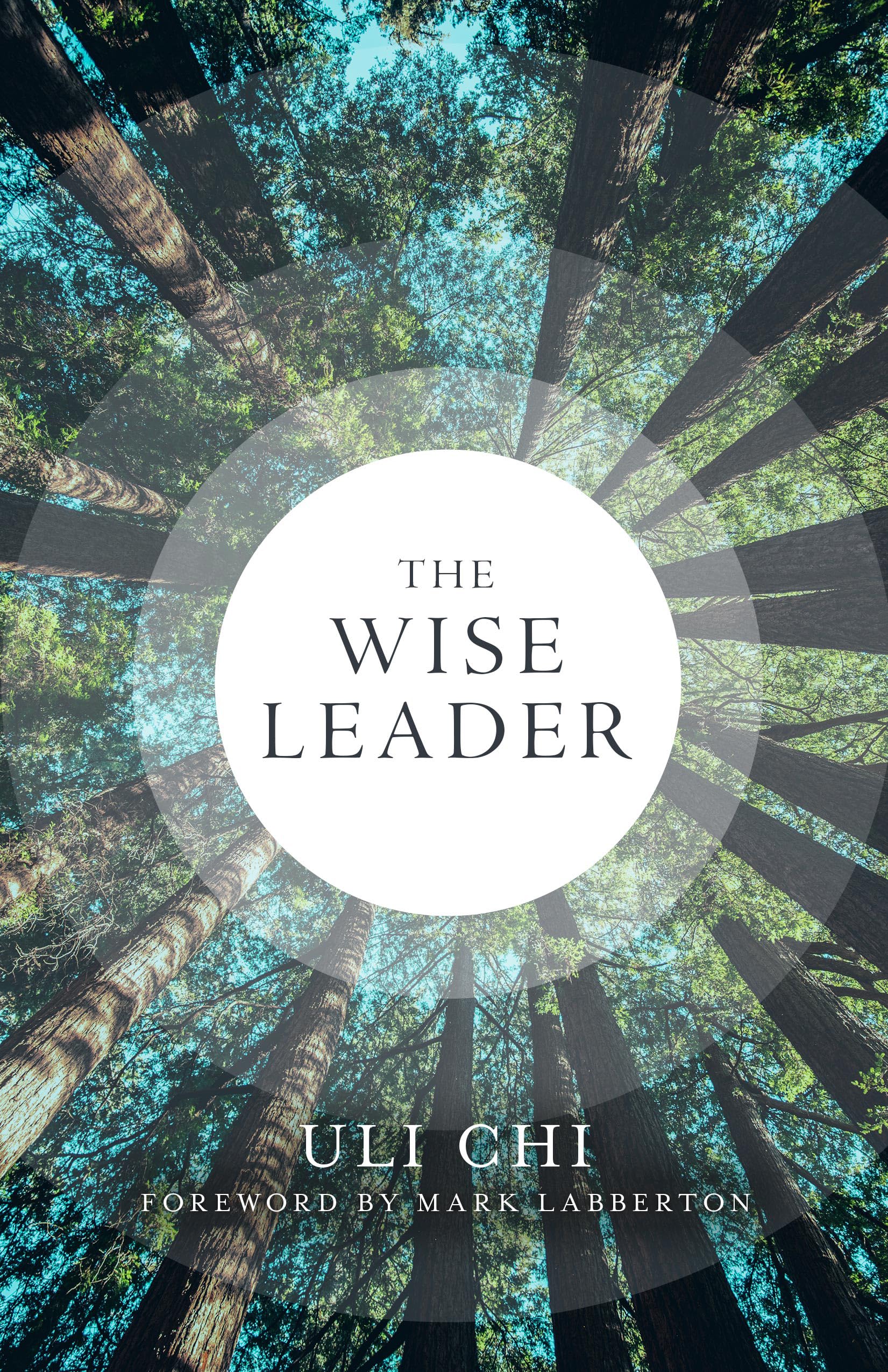 The Wise Leader: Chi, Uli: 9780802884046: Amazon.com: Books