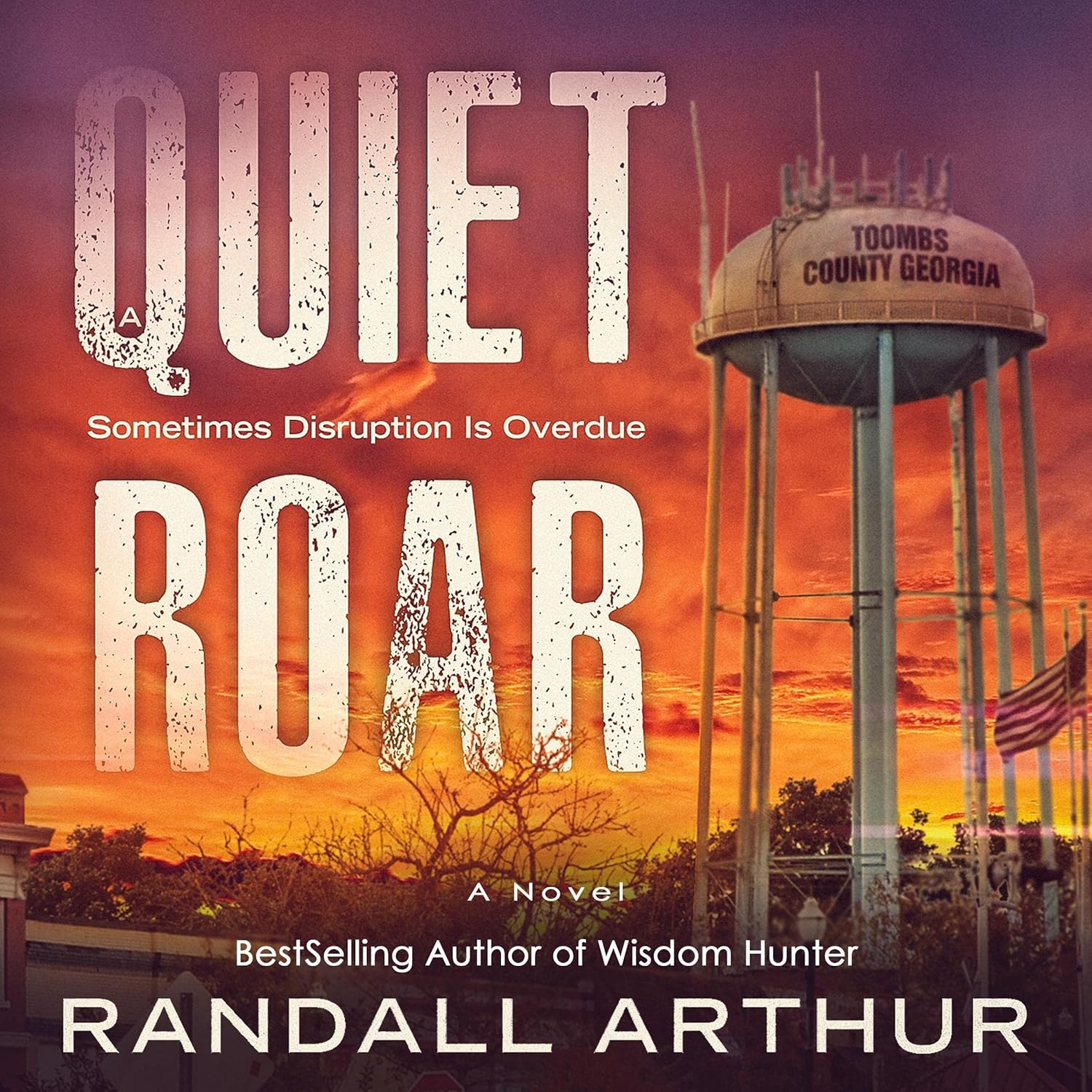 Amazon.com: A Quiet Roar: Sometimes Disruption Is Overdue (Audible ...