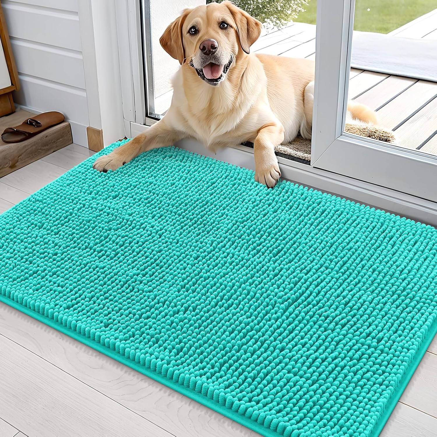Amazon.com: OLANLY Dog Door Mat for Muddy Paws 36x24, Absorbs Moisture ...