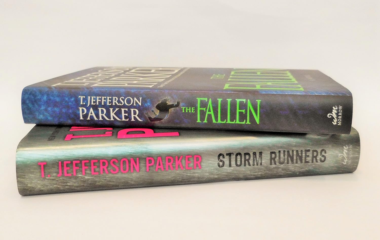 Storm Runners: A Novel: Parker, T. Jefferson: 9780060854232: Amazon.com ...
