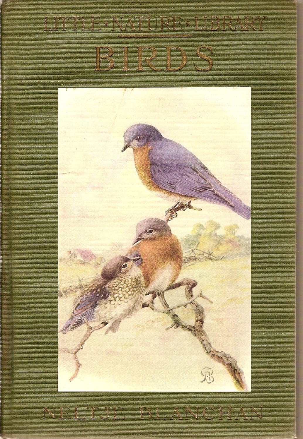 Birds Worth Knowing - Little Nature Library: Blanchan, Neltje ...