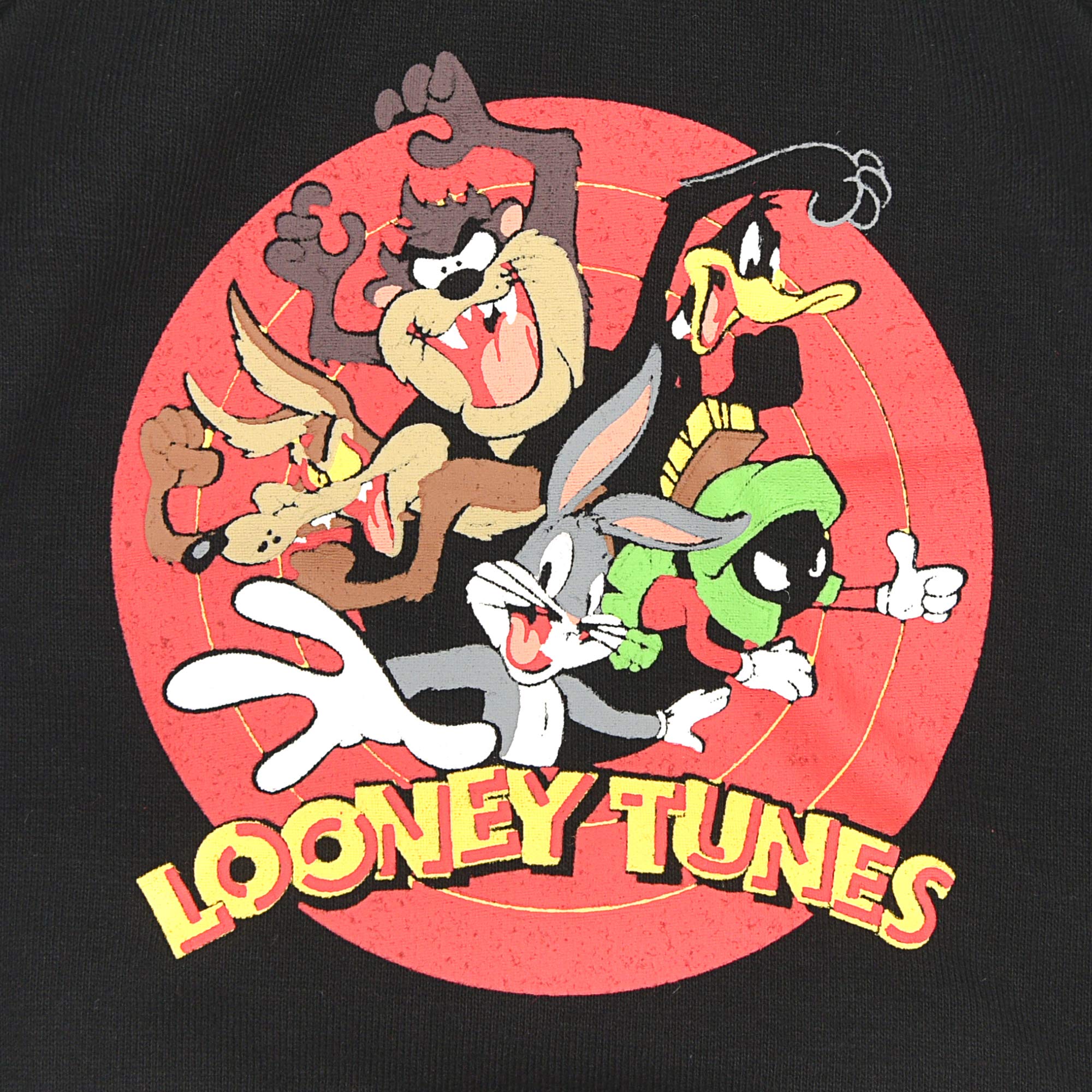 Looney Tunes Characters Dog