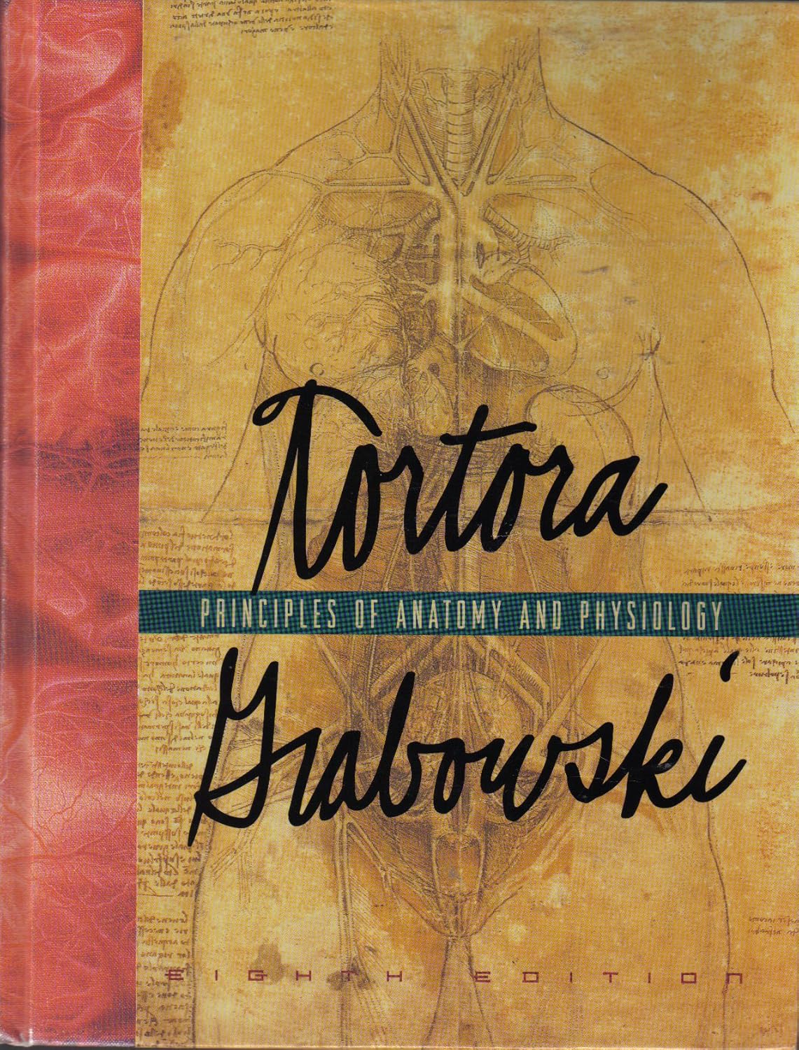 Amazon.com: Principles of Anatomy and Physiology, 8th Edition ...