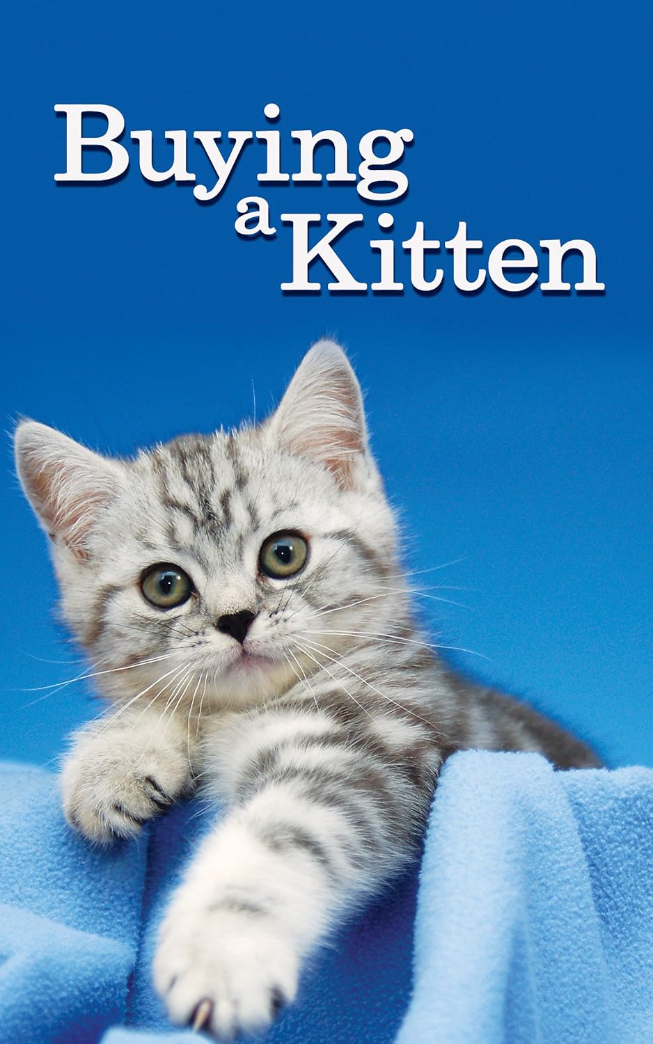 Buying a Kitten eBook : Stevens, Stephanie: Amazon.in: Kindle Store