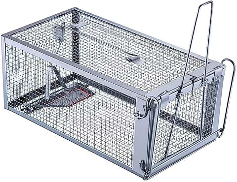 Amazon.com: varmint trap