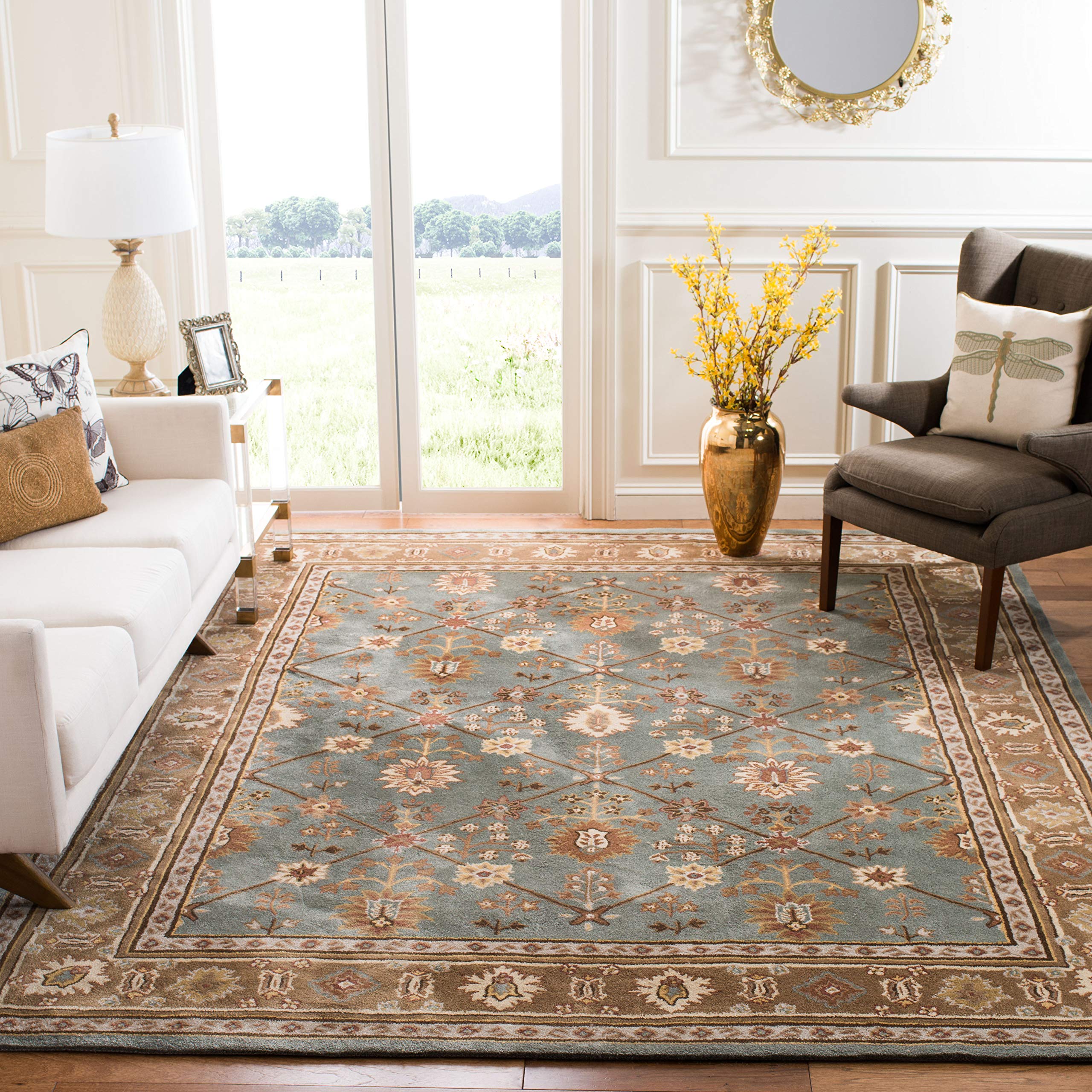 Amazon.com: SAFAVIEH Total Performance Collection Area Rug - 9' x 12 ...